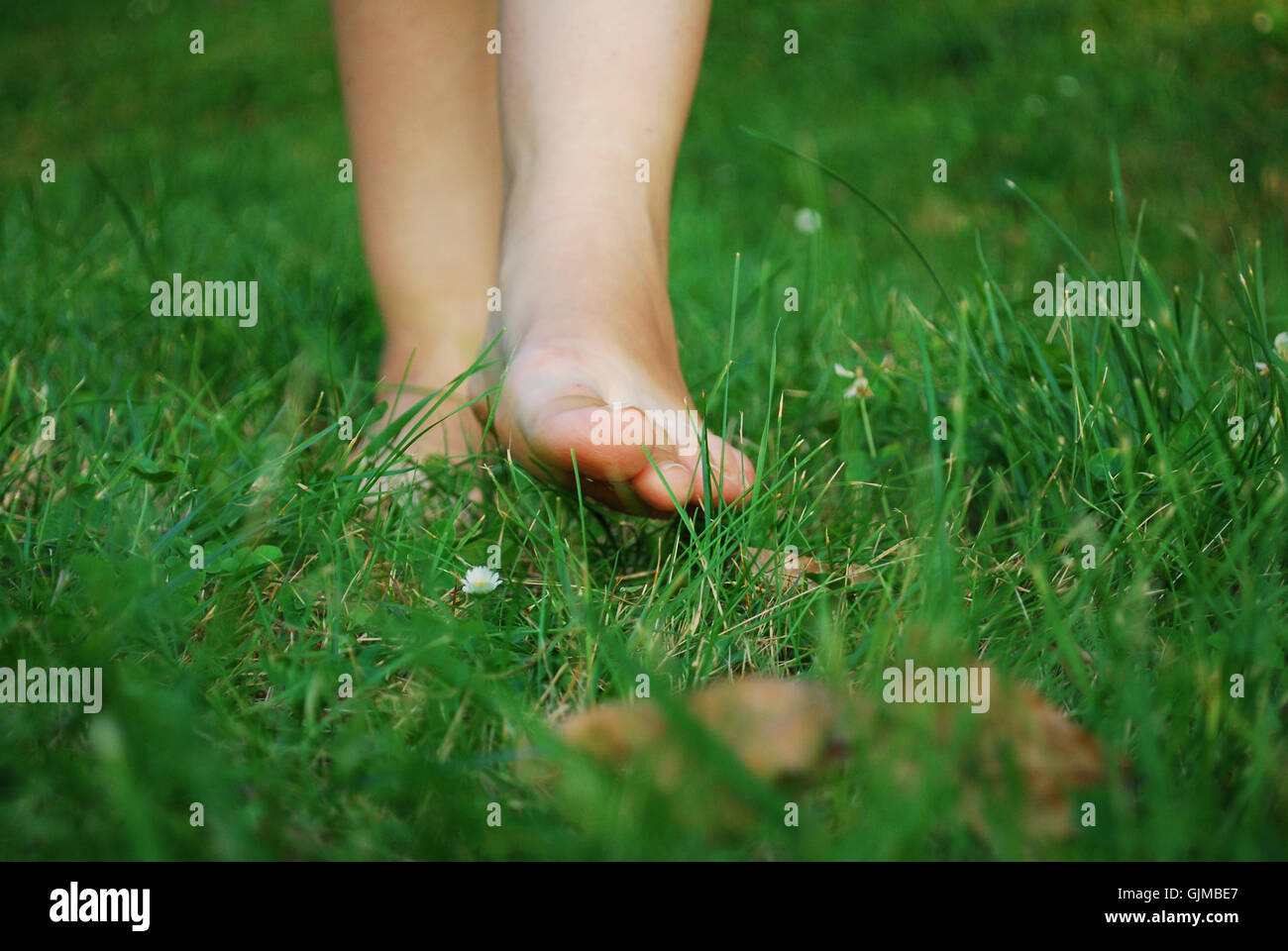 Toe toes foot feet hi-res stock photography and images - Alamy