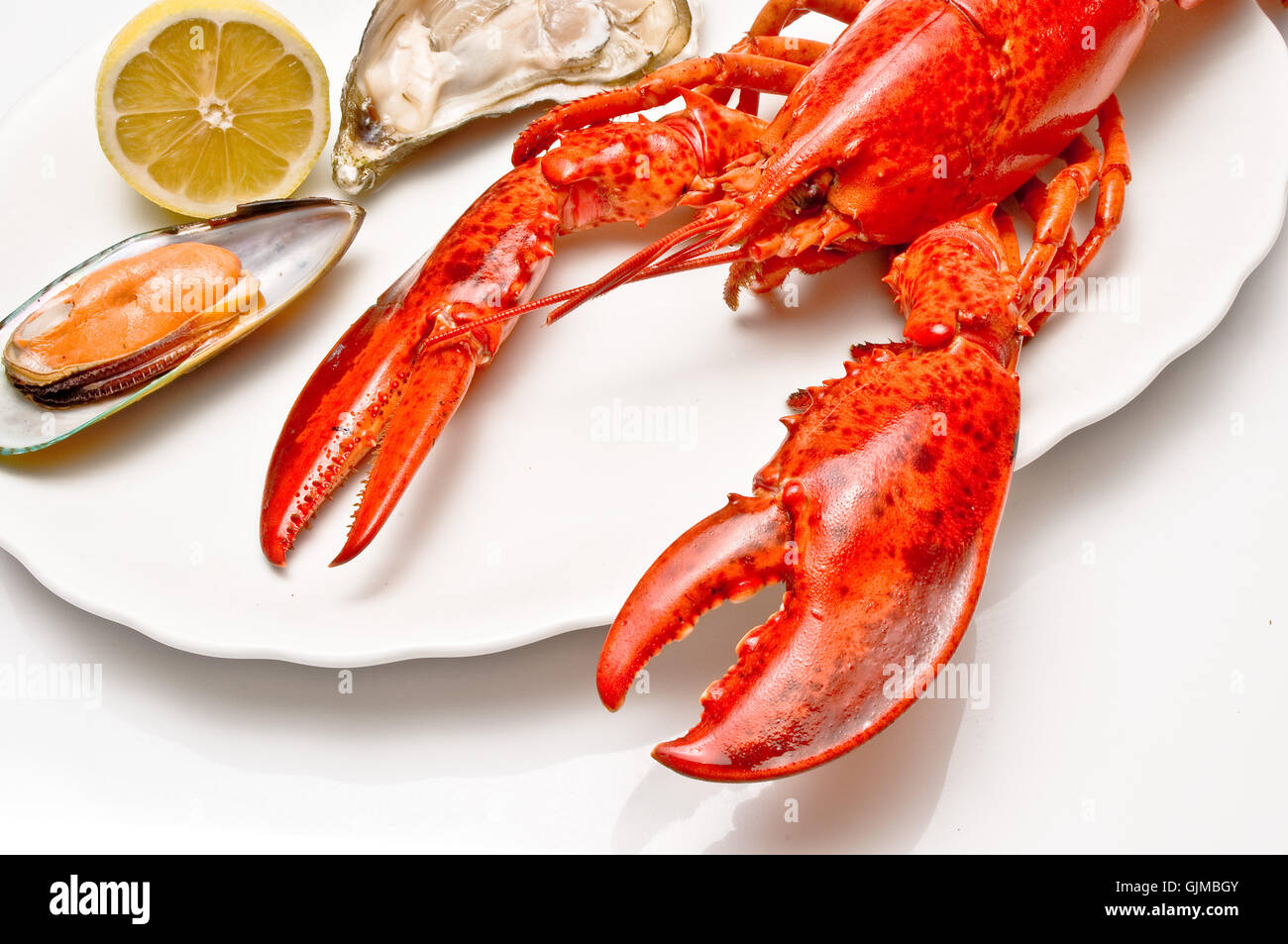 closeup shell plate Stock Photo - Alamy