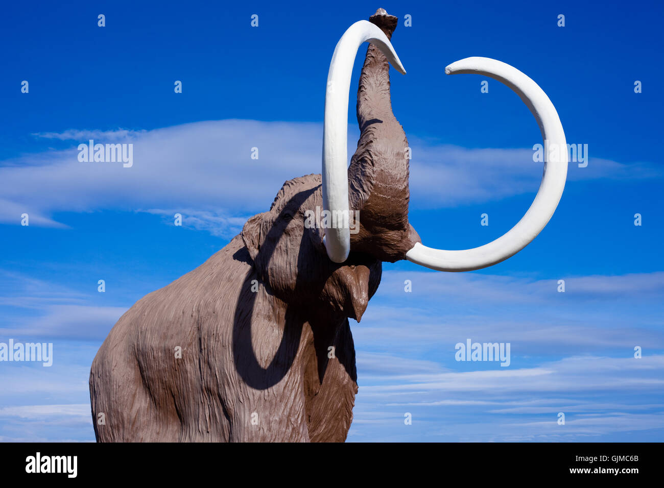 Mammoth model hi-res stock photography and images - Alamy