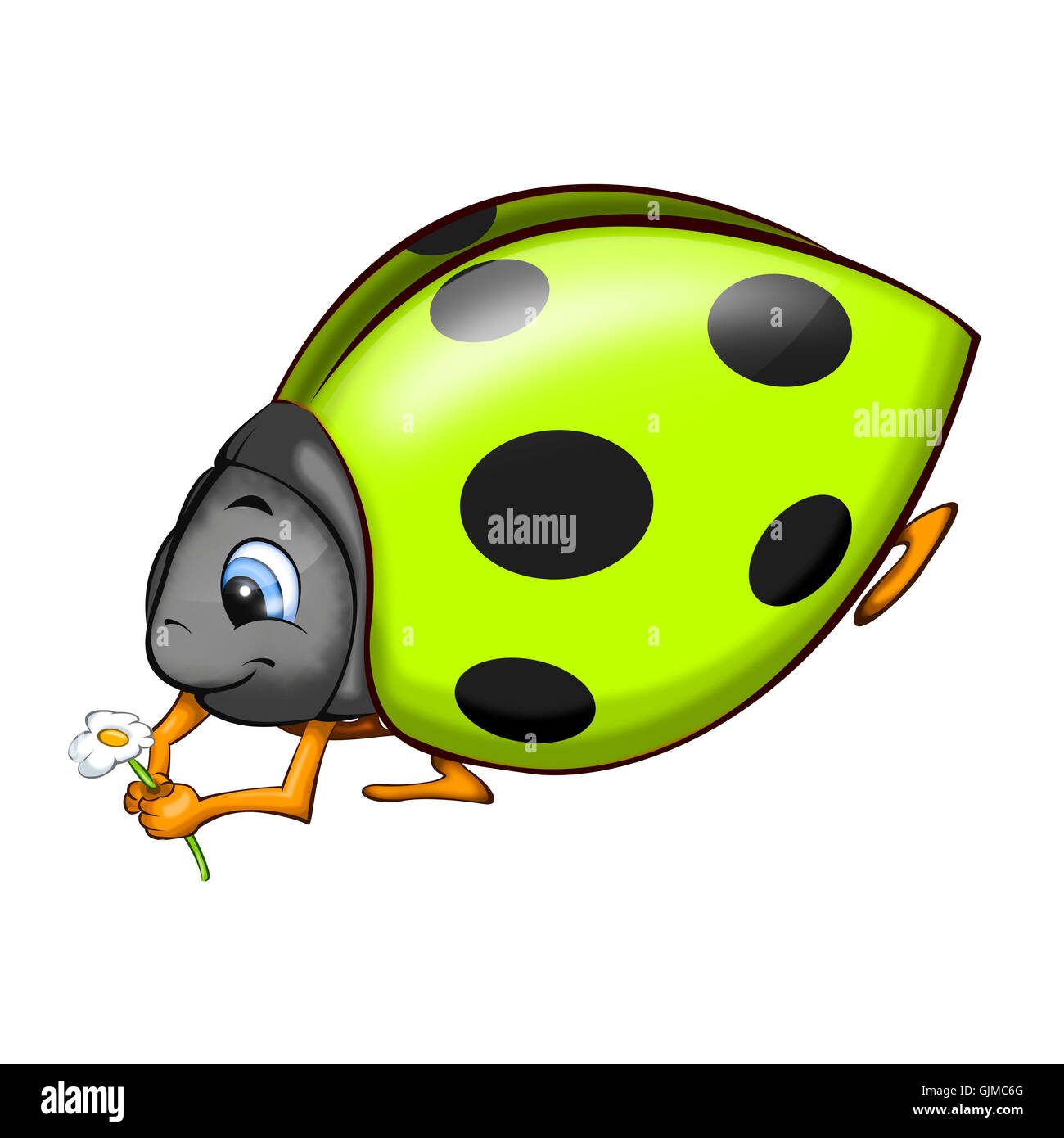 Lady bird beetles hi-res stock photography and images - Alamy