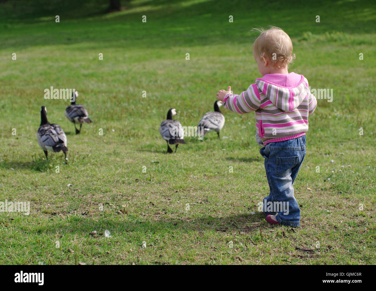 Nosy animal hi-res stock photography and images - Alamy