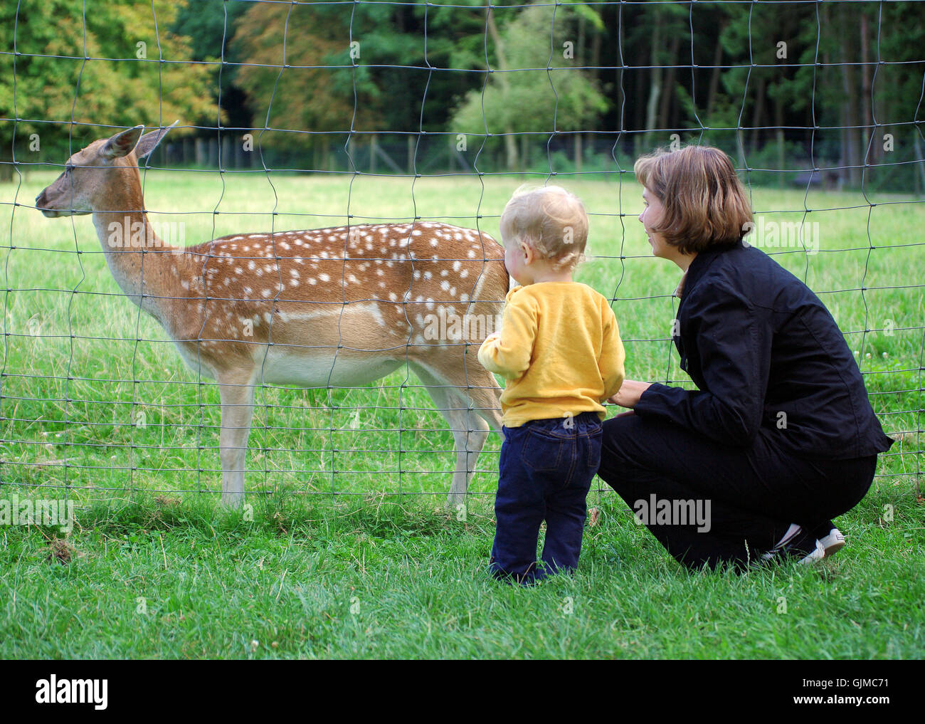 Nosy curious hi-res stock photography and images - Alamy