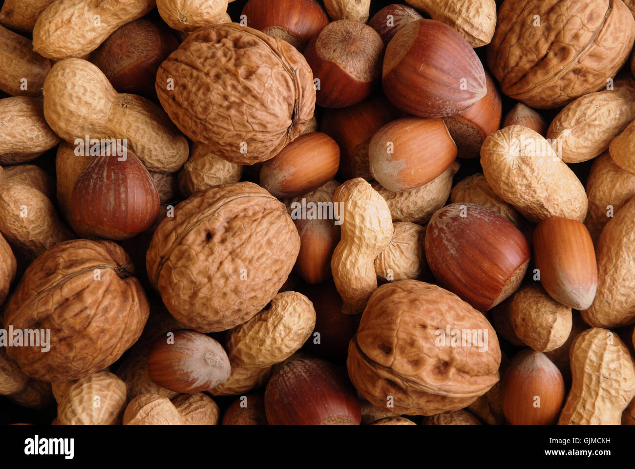 Filbert nut hi-res stock photography and images - Alamy
