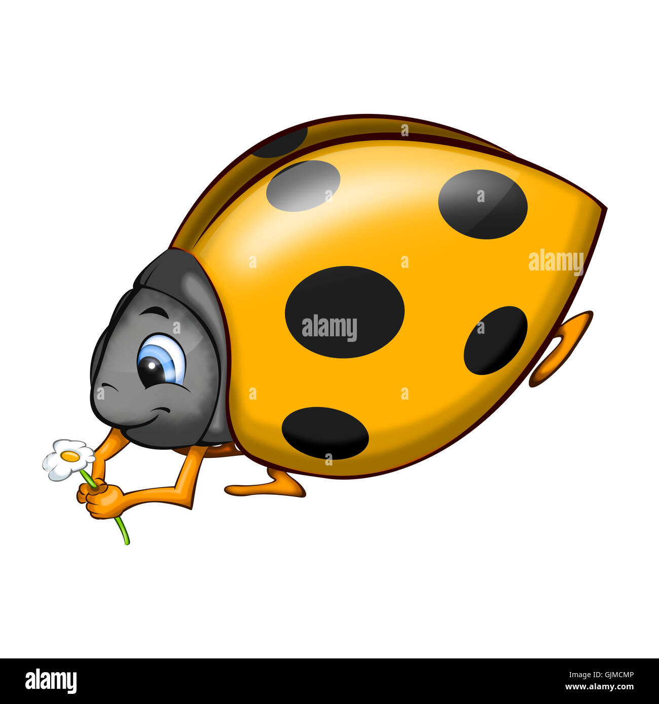 Lady bird beetles hi-res stock photography and images - Alamy