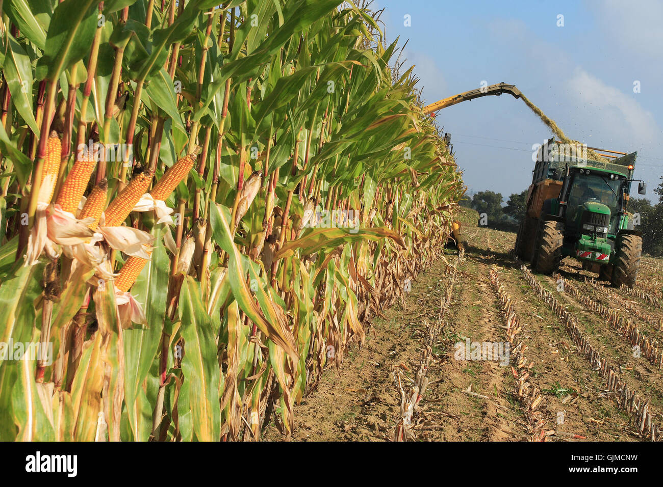 agriculture farming harvest Stock Photo - Alamy