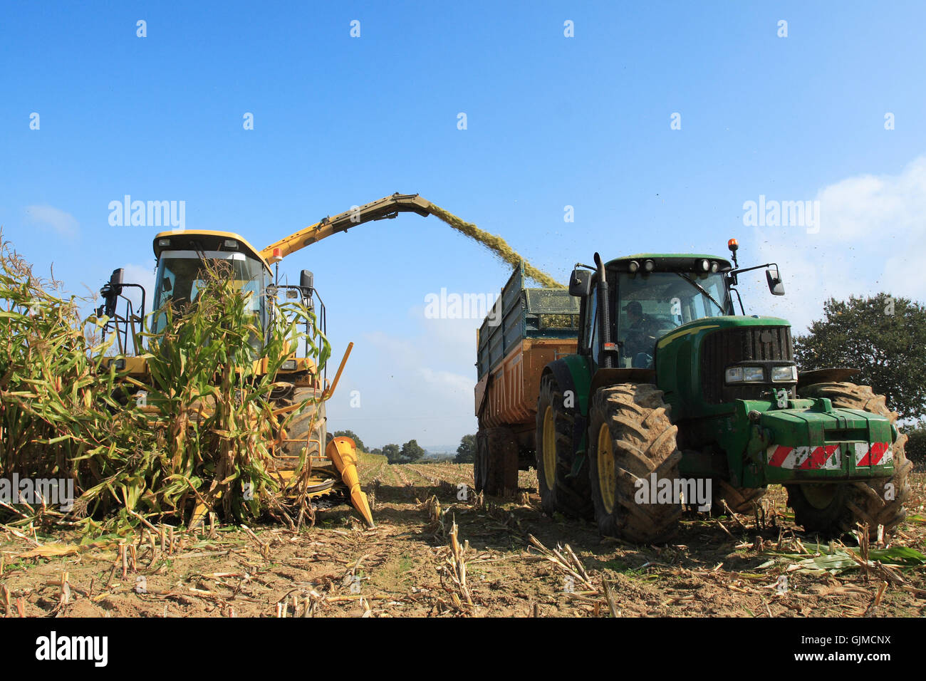 agriculture farming harvest Stock Photo - Alamy