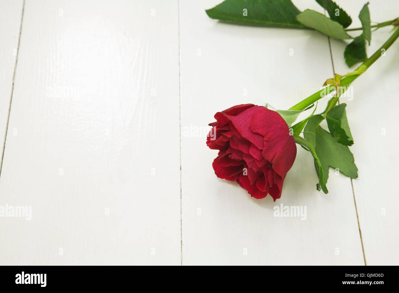 Single Red rose on white wooden floorboards Stock Photo - Alamy