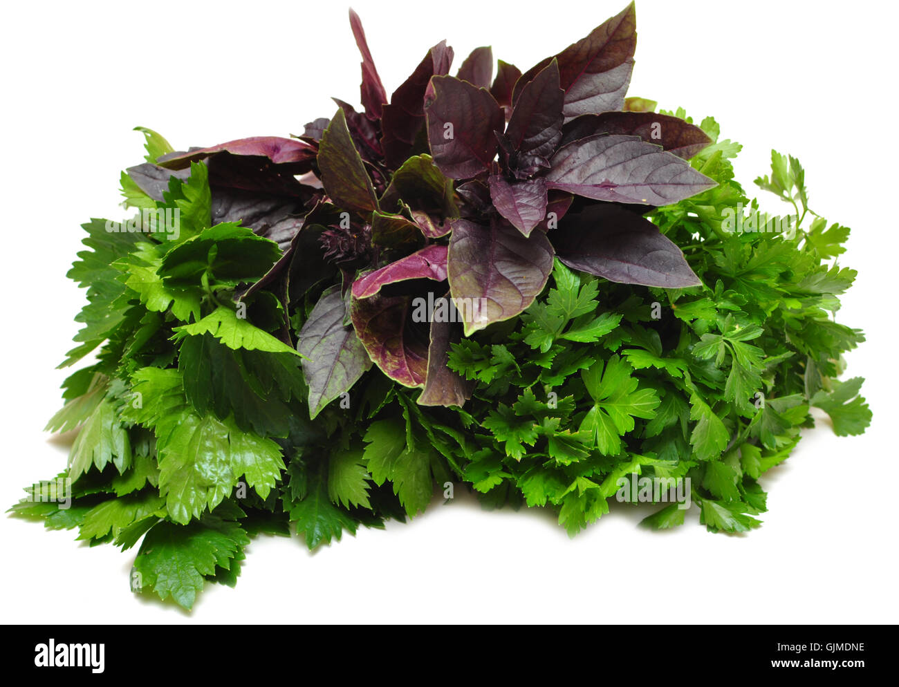 basil, parsley, celery Stock Photo - Alamy