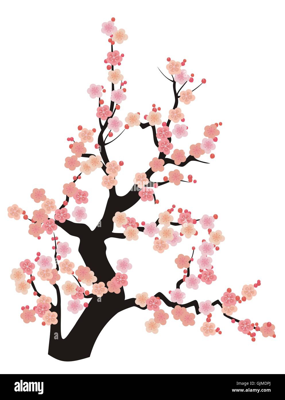 Pink flowering cherry blossom tree Cut Out Stock Images & Pictures - Alamy