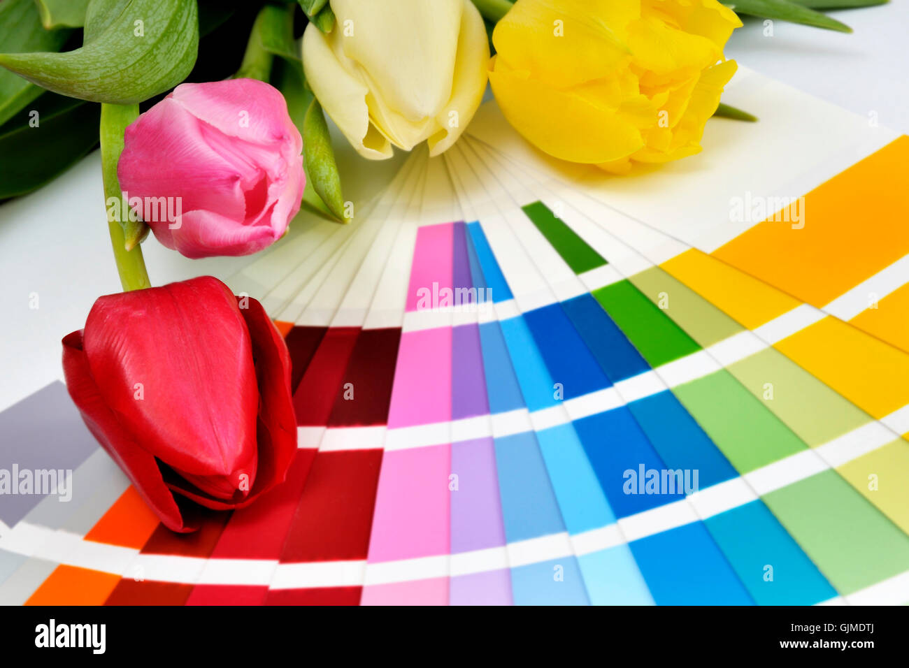 coloured colourful gorgeous Stock Photo - Alamy