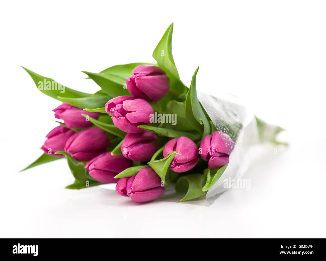 isolated flower flowers Stock Photo - Alamy