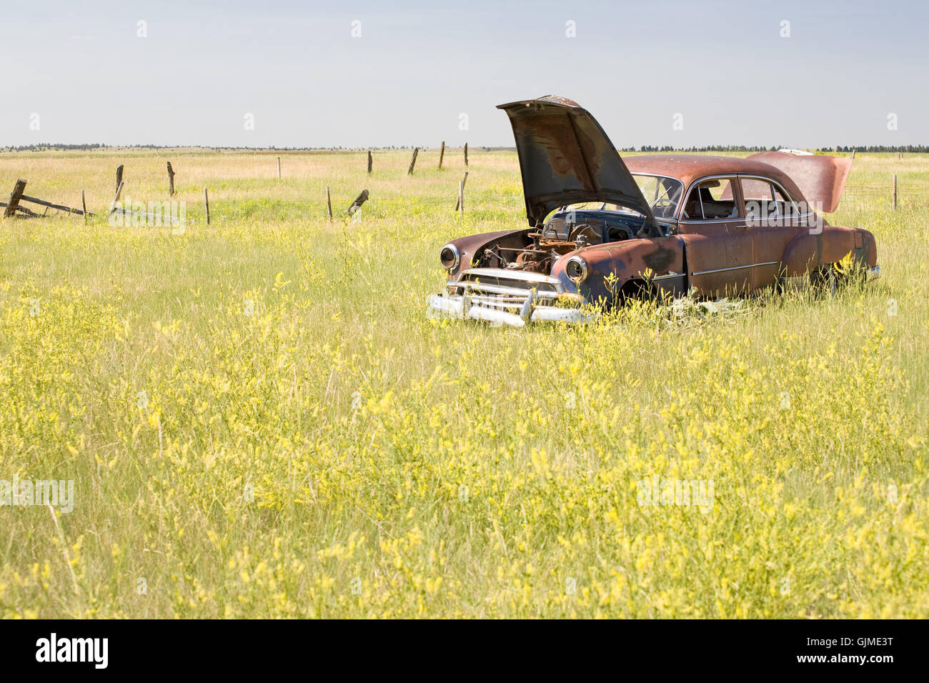 field car automobile Stock Photo - Alamy