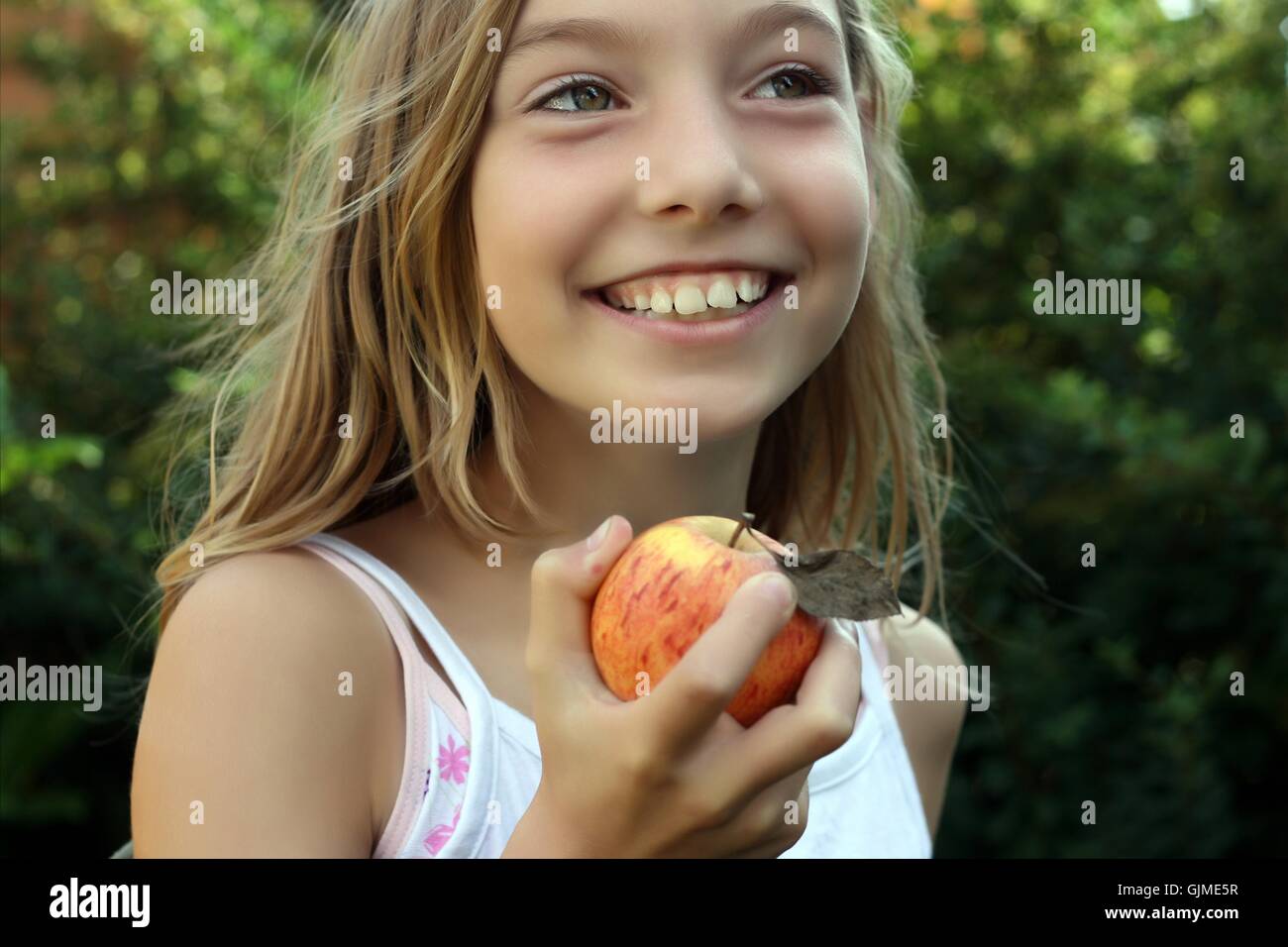 food aliment tree Stock Photo - Alamy