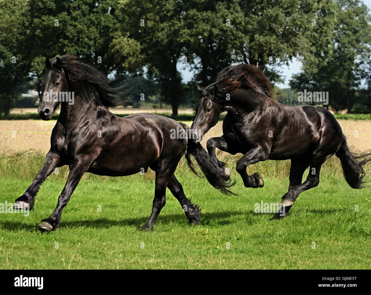 Fast lane hi-res stock photography and images - Alamy