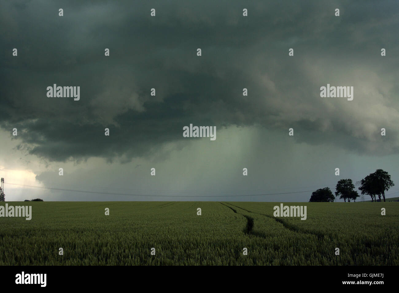 Thunderstorm field hi-res stock photography and images - Alamy