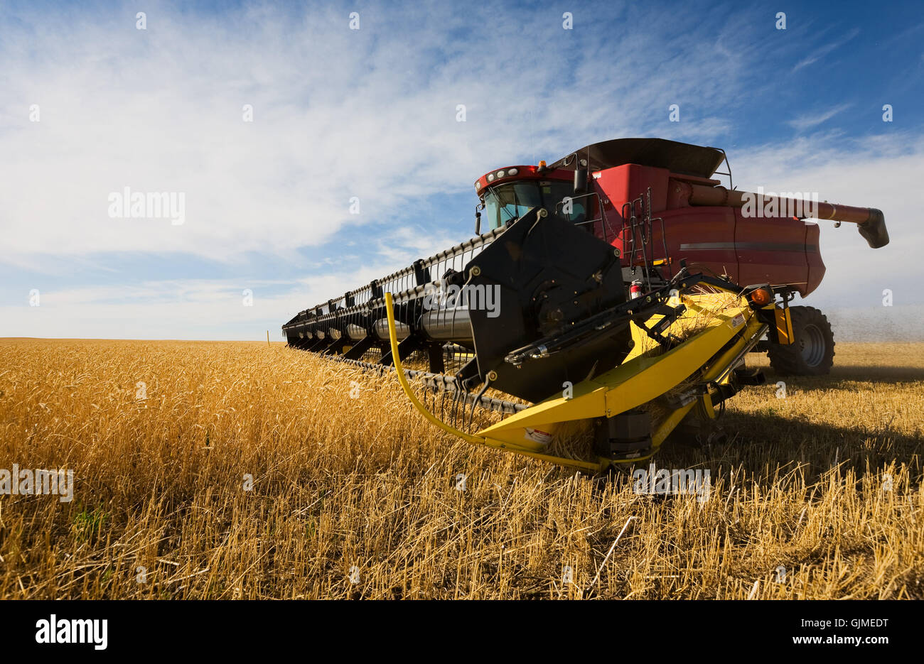 agriculture farming harvest Stock Photo - Alamy