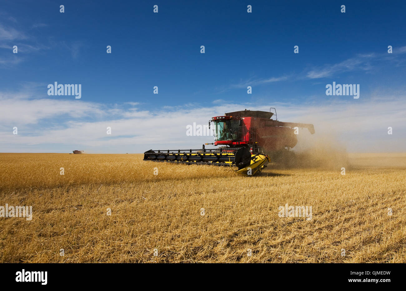 agriculture farming harvest Stock Photo - Alamy