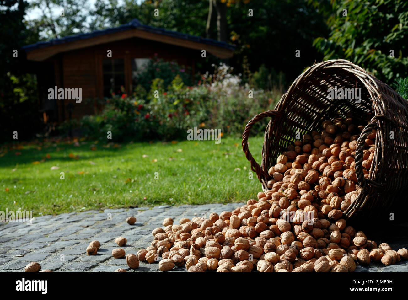 garden basket nuts Stock Photo - Alamy