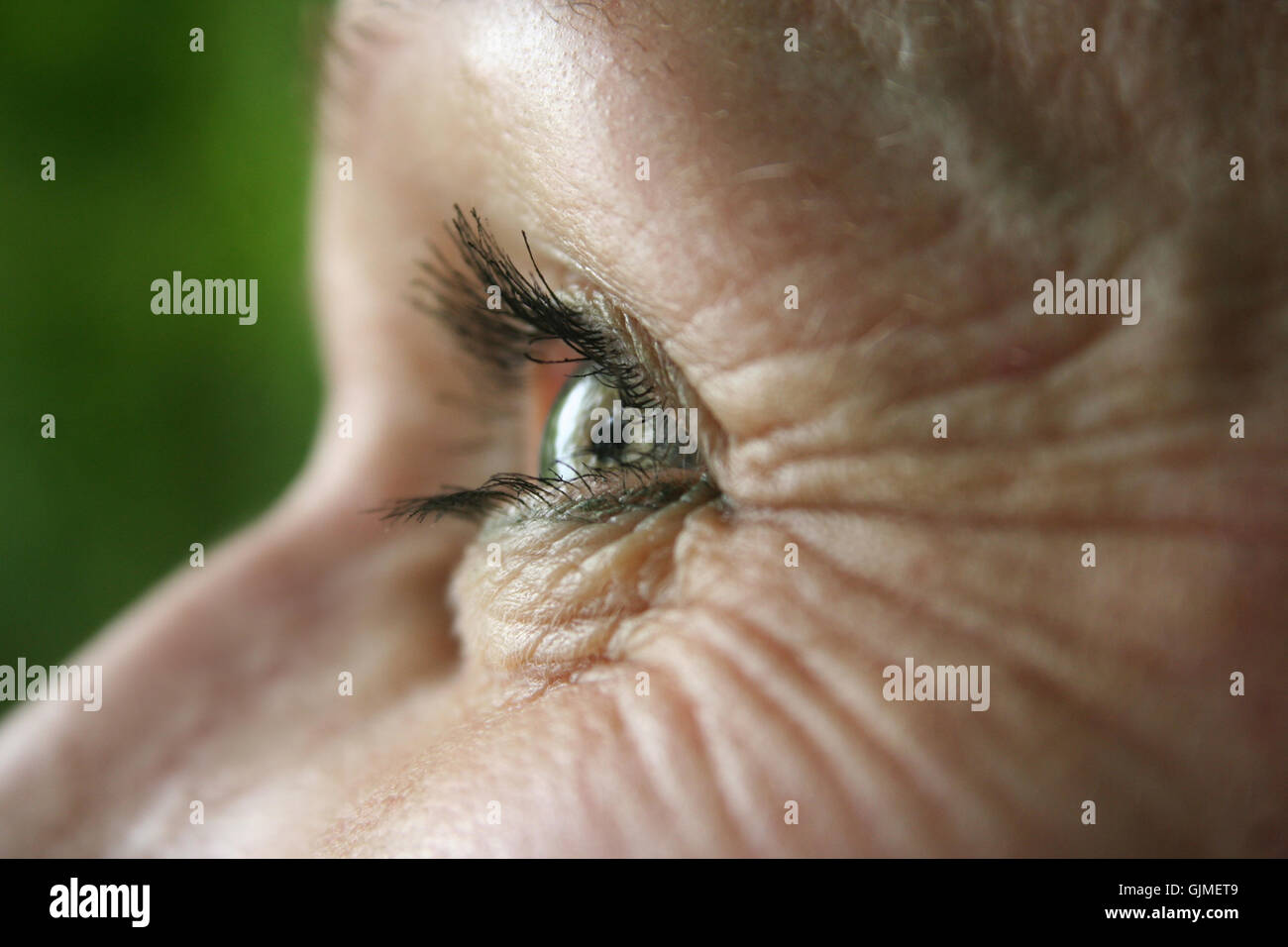 woman profile eye Stock Photo - Alamy
