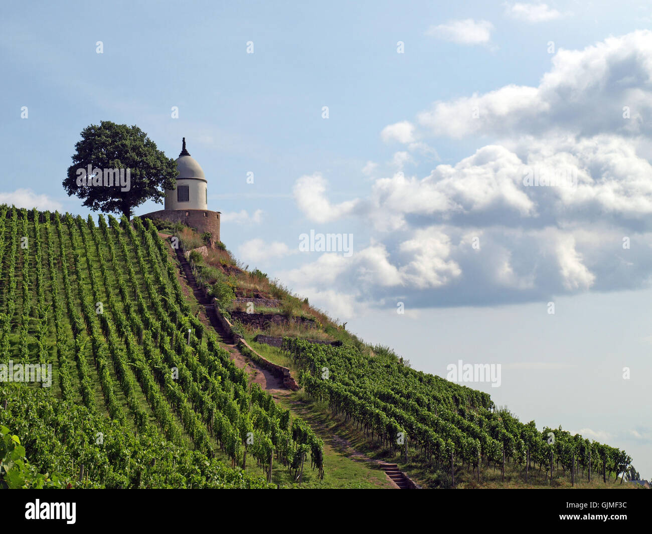 Vineyard construction hi-res stock photography and images - Alamy