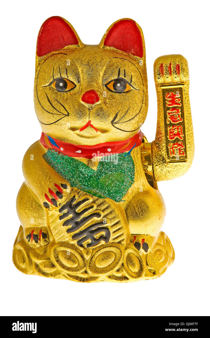 Cat china not zoo not tiger Cut Out Stock Images & Pictures - Alamy