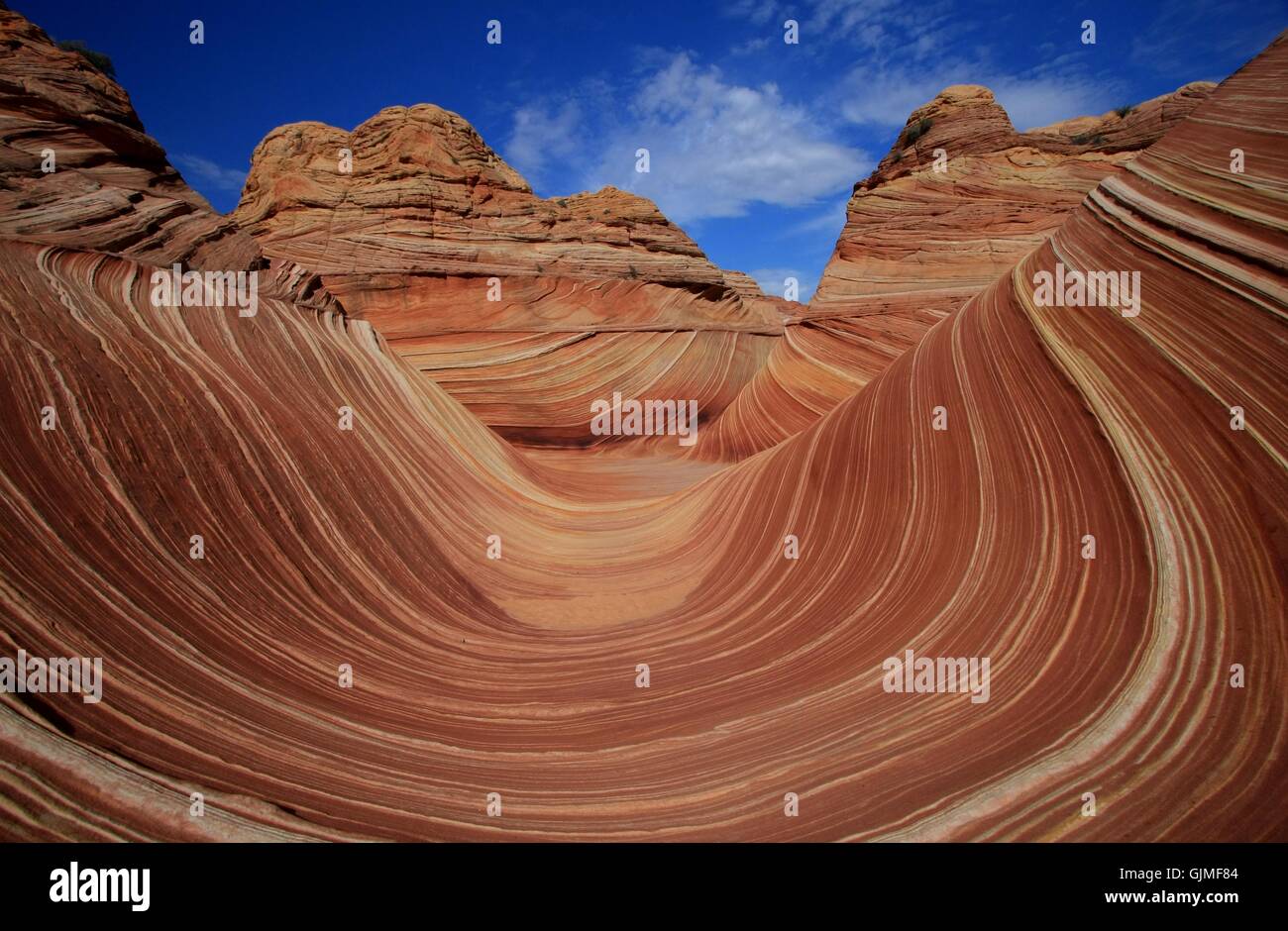 usa america wave Stock Photo - Alamy