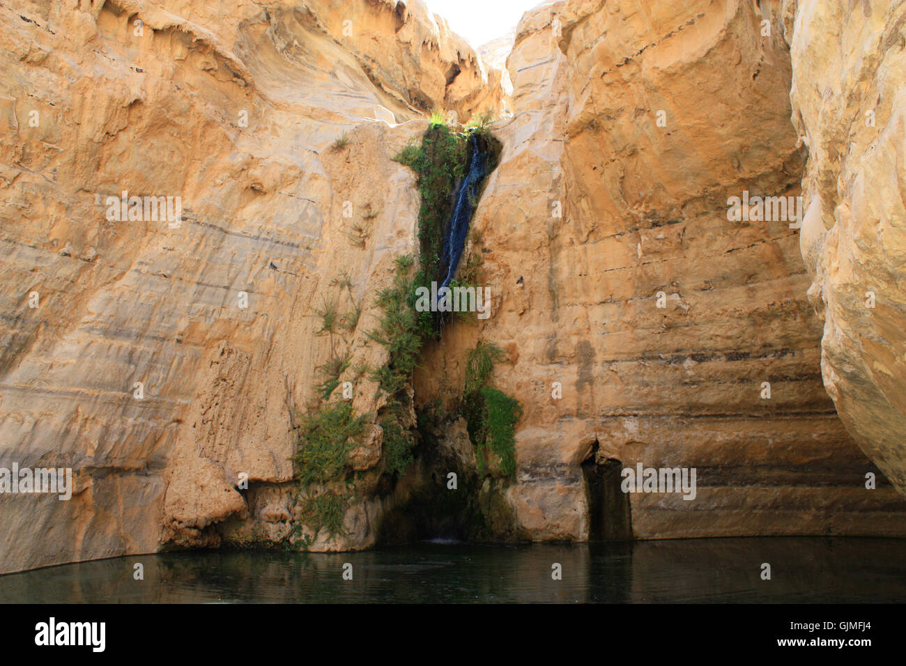 Oasis stone hi-res stock photography and images - Alamy