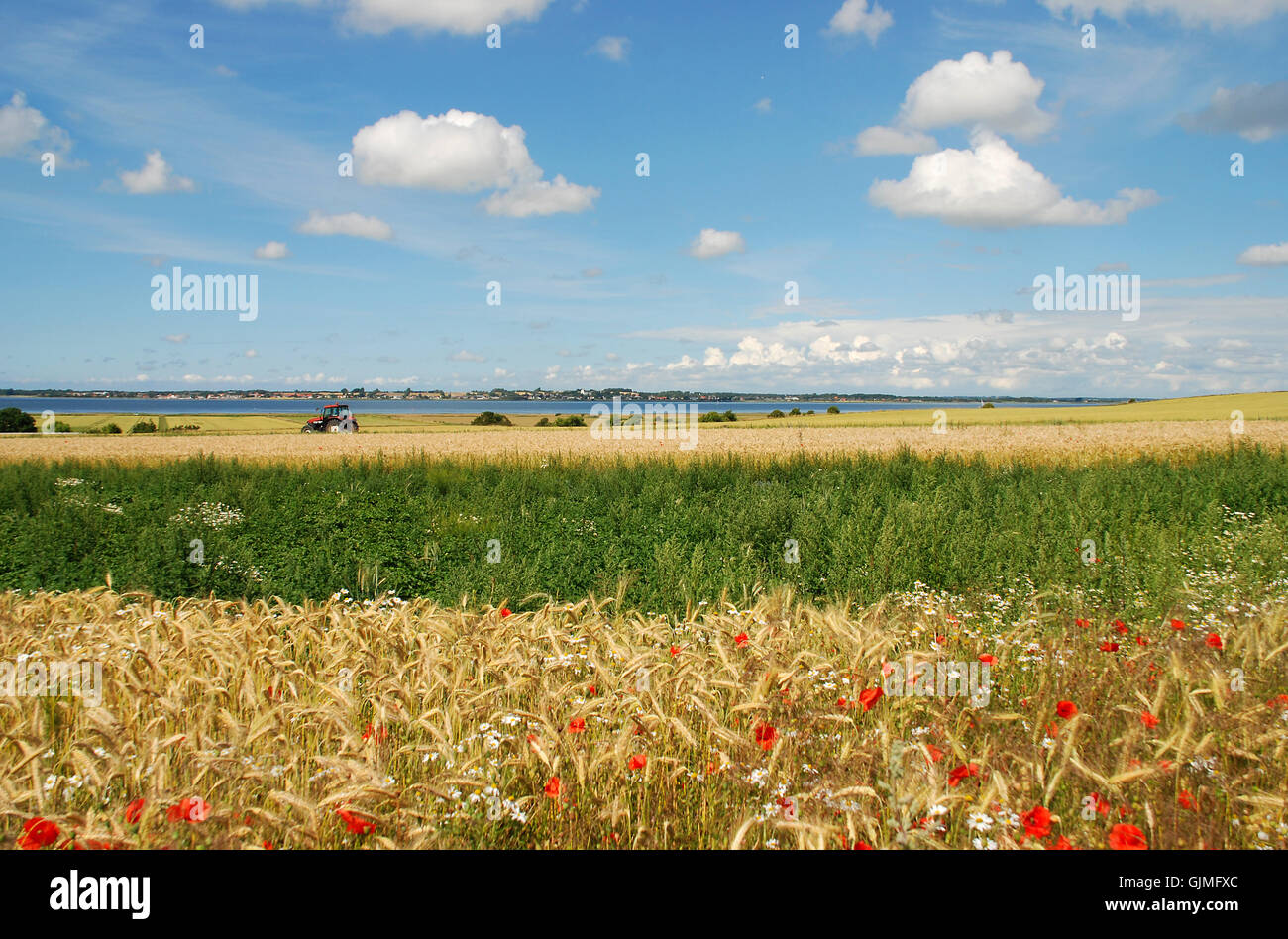 agriculture farming field Stock Photo - Alamy