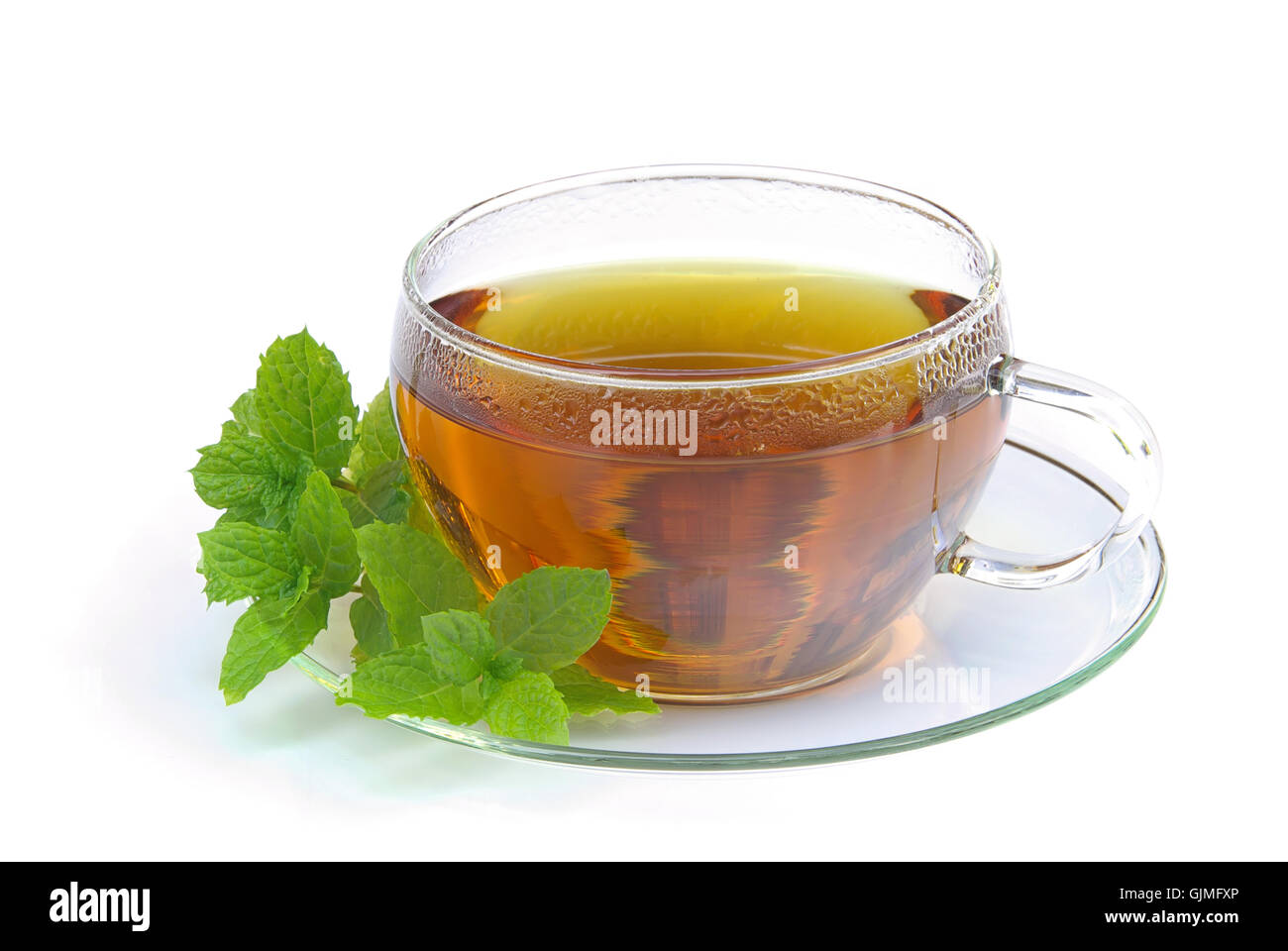 Mint tea plant hi-res stock photography and images - Alamy