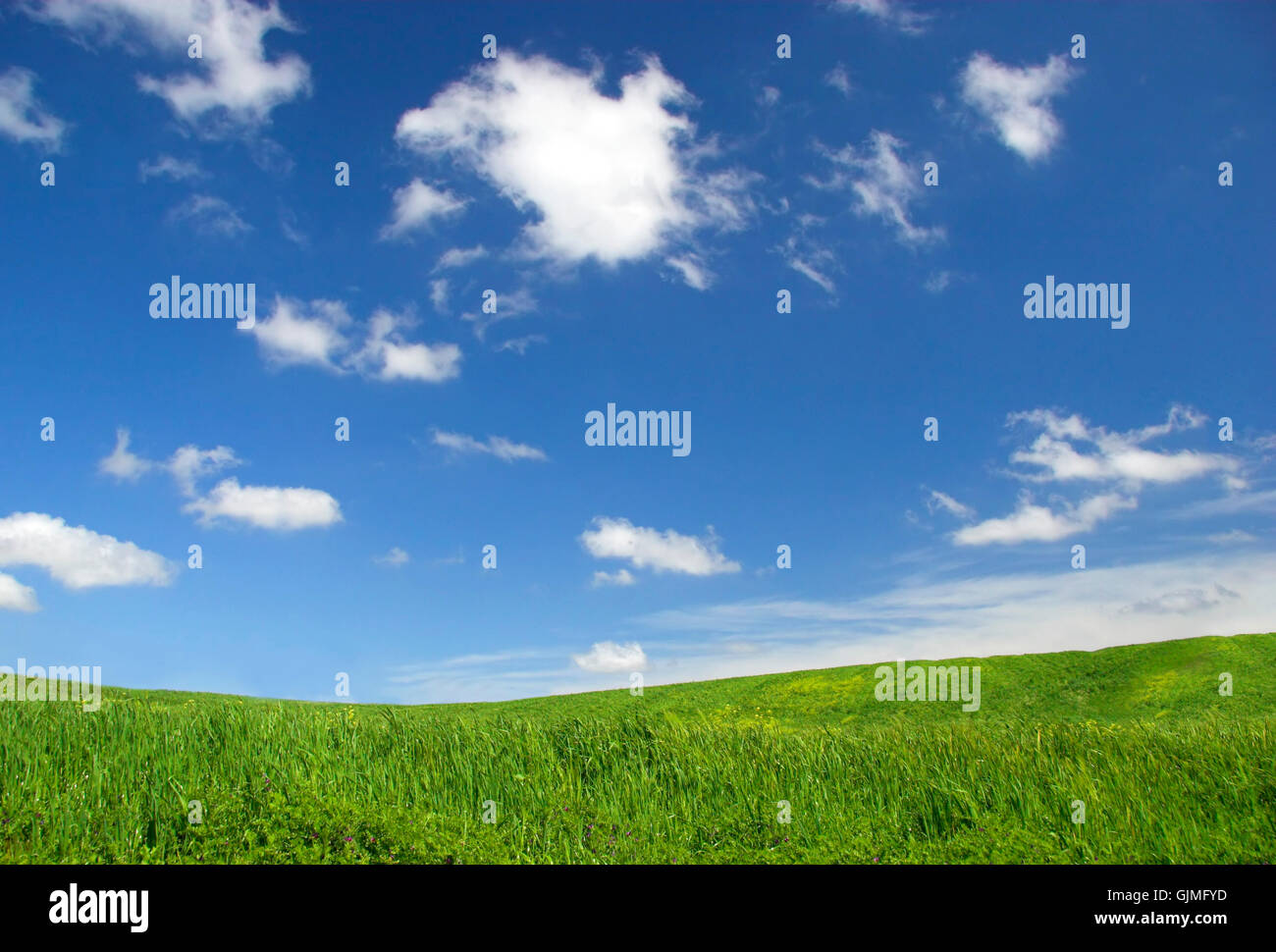 Meadow natural scenery nature hi-res stock photography and images - Alamy