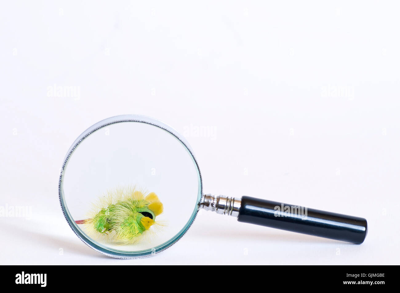 Explore curiosity hi-res stock photography and images - Alamy