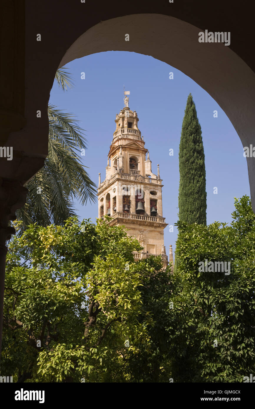 Mosque of cordoba capital hi-res stock photography and images - Alamy