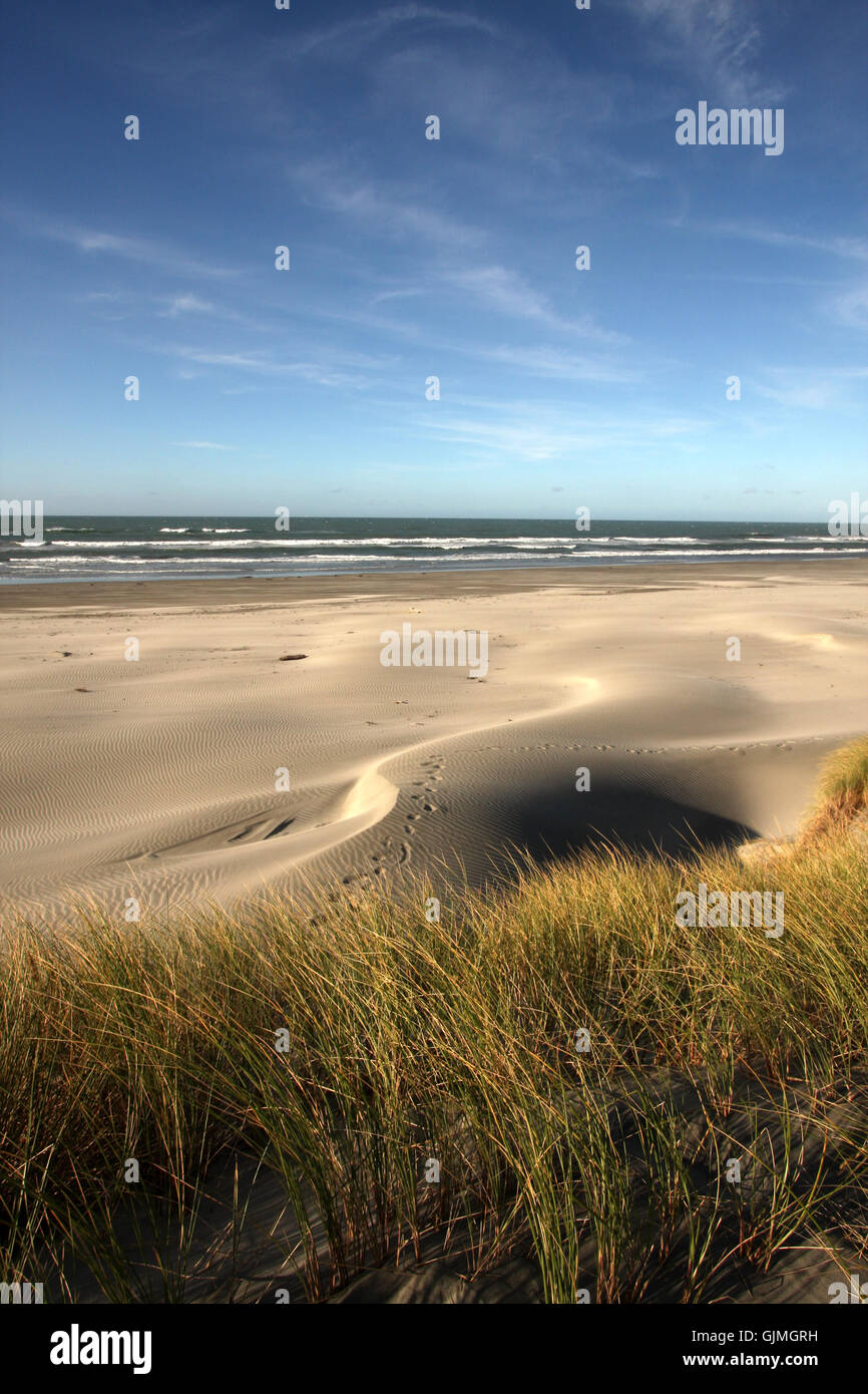 Farewell spit new zealand sand dunes hi-res stock photography and ...
