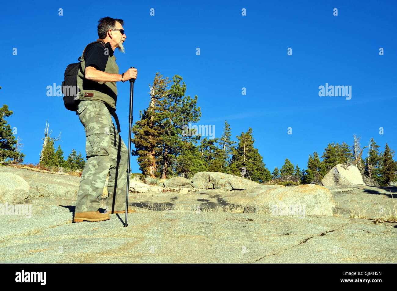Hiking walking cane hi-res stock photography and images - Alamy