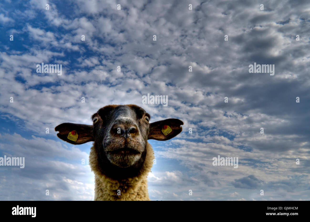 Worms eye hi-res stock photography and images - Alamy