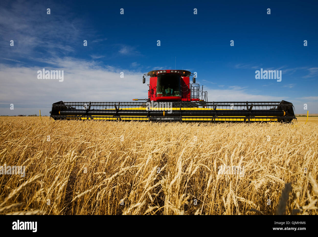 agriculture farming harvest Stock Photo - Alamy