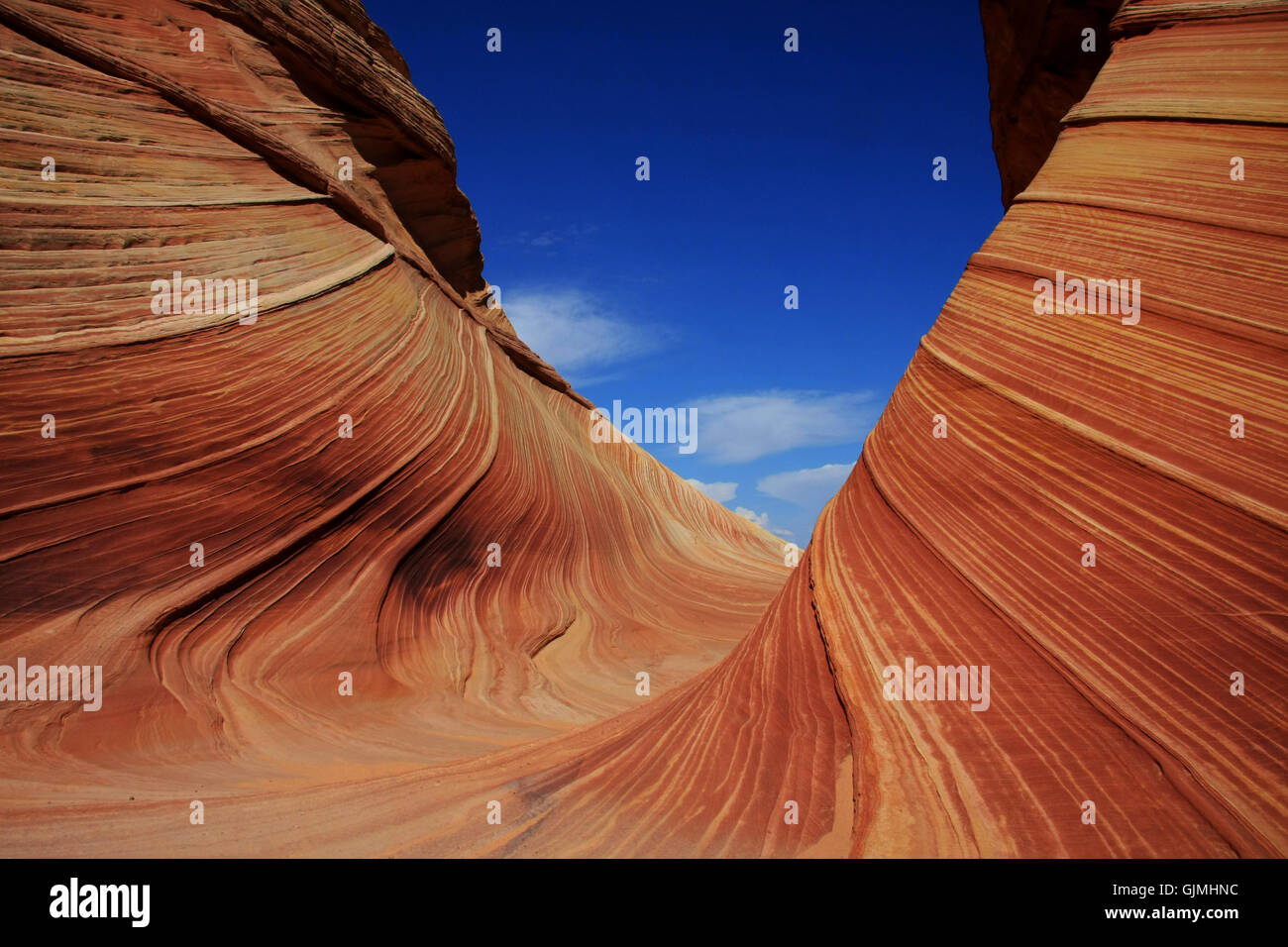 Arizone desert hi-res stock photography and images - Alamy