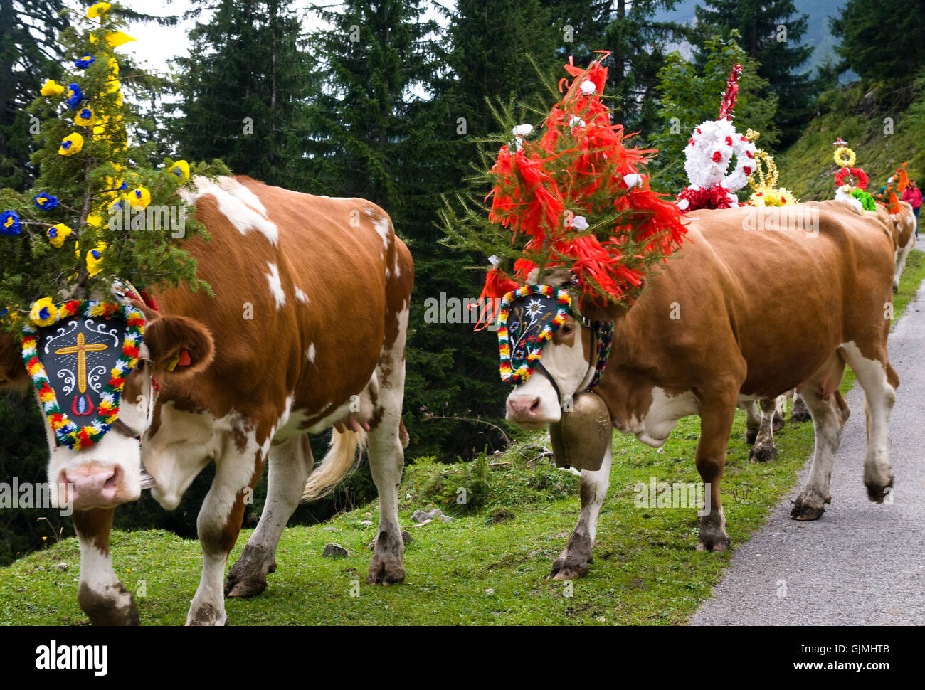 Almabtrieb hi-res stock photography and images - Alamy