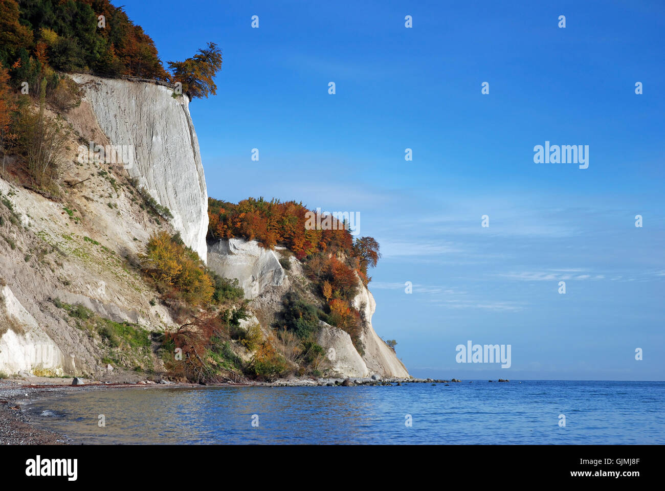 tree water baltic sea Stock Photo - Alamy