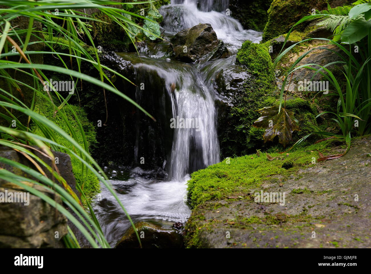 green stream waterfall Stock Photo - Alamy
