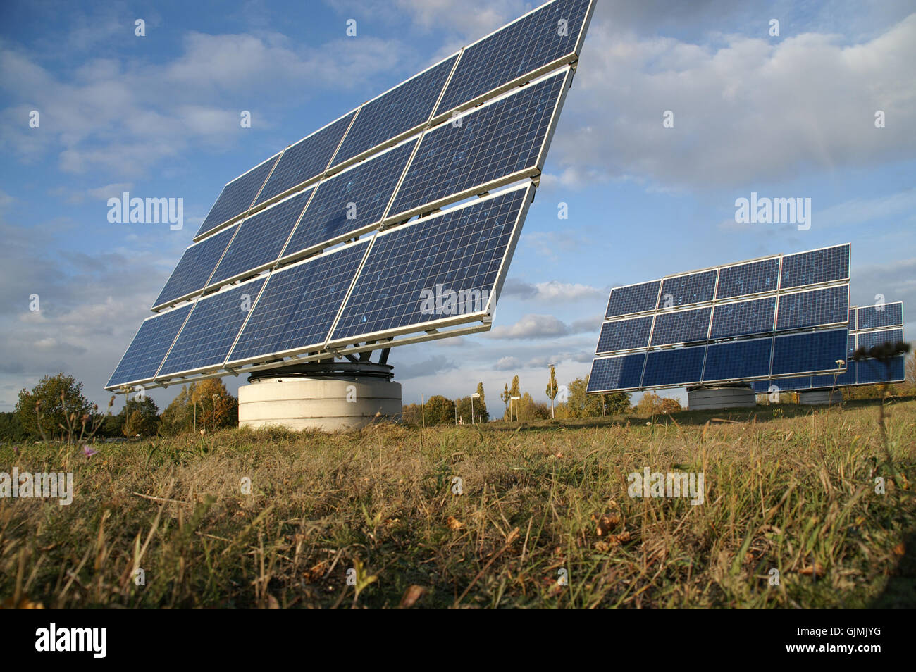 Collector of objects hi-res stock photography and images - Alamy