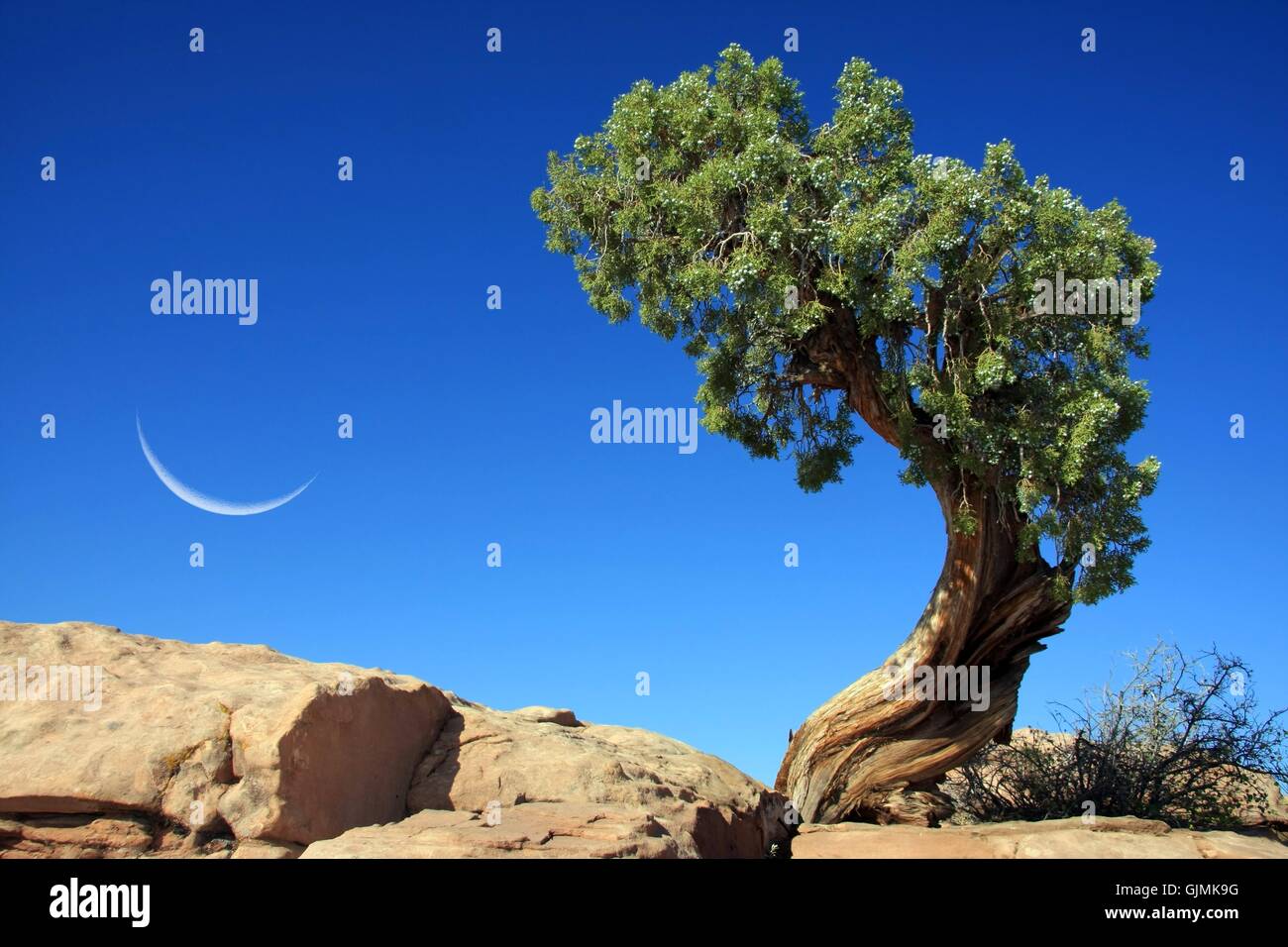 move 005 - moon transversely Stock Photo - Alamy