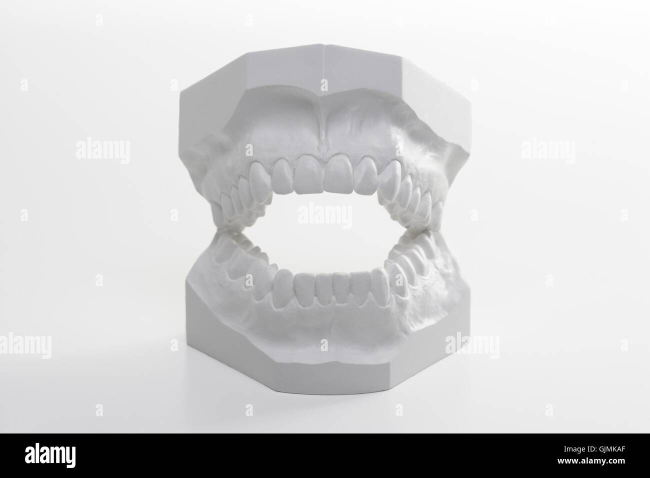 teeth tooth photo model Stock Photo - Alamy