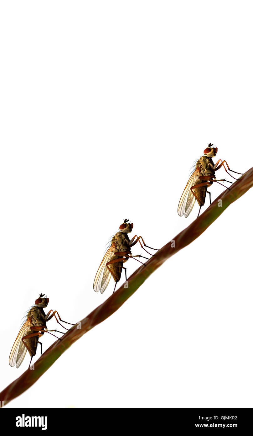 Ascend up hi-res stock photography and images - Alamy