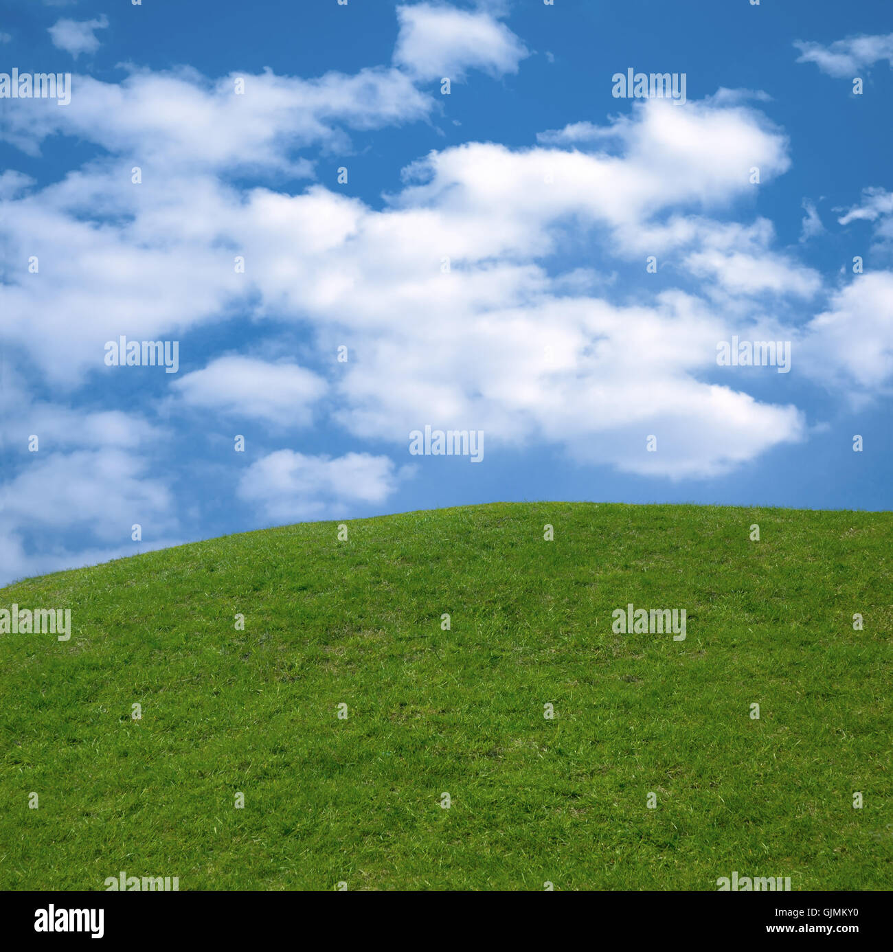 hill field landscape Stock Photo - Alamy