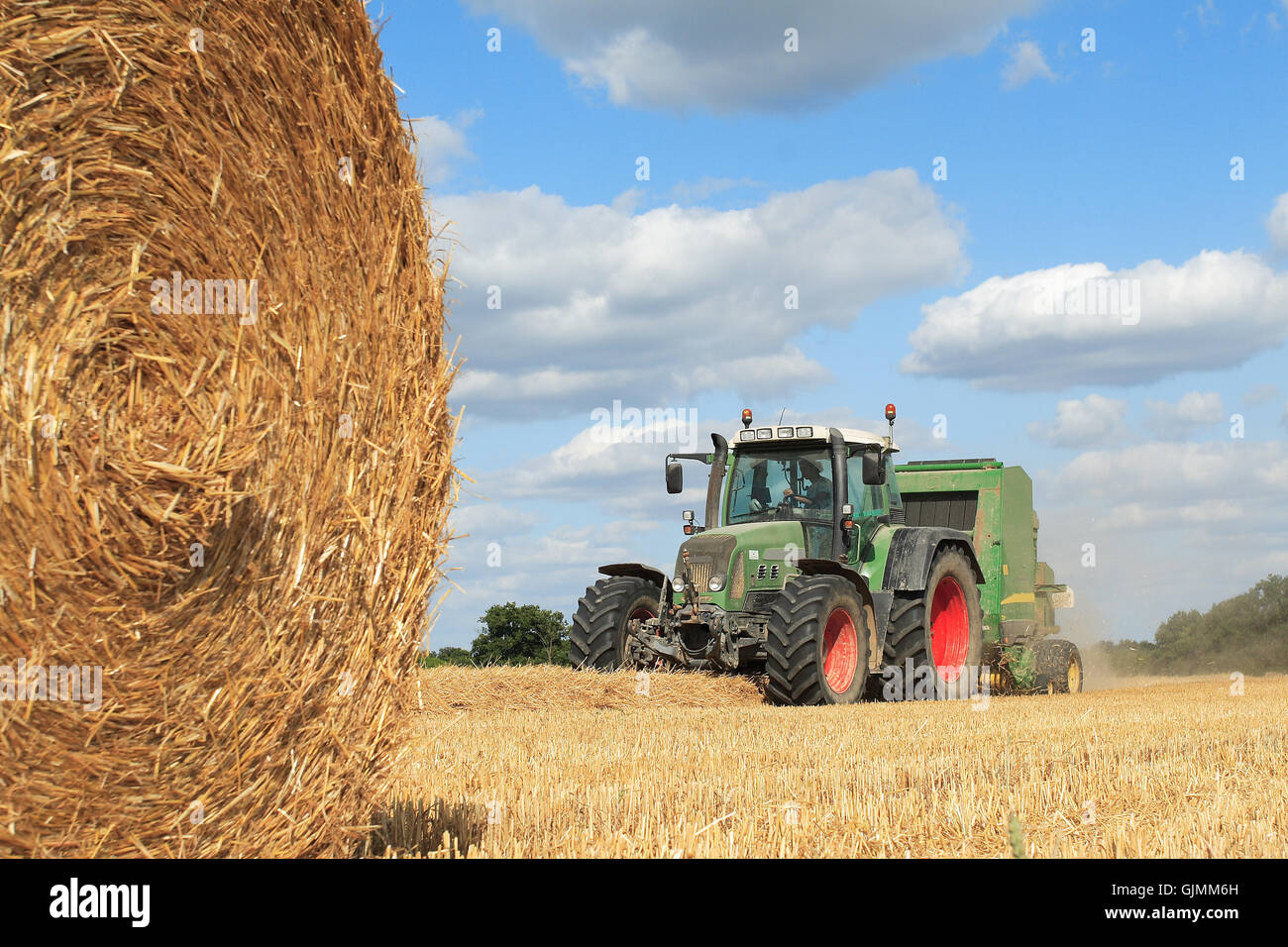agriculture farming wheat Stock Photo - Alamy