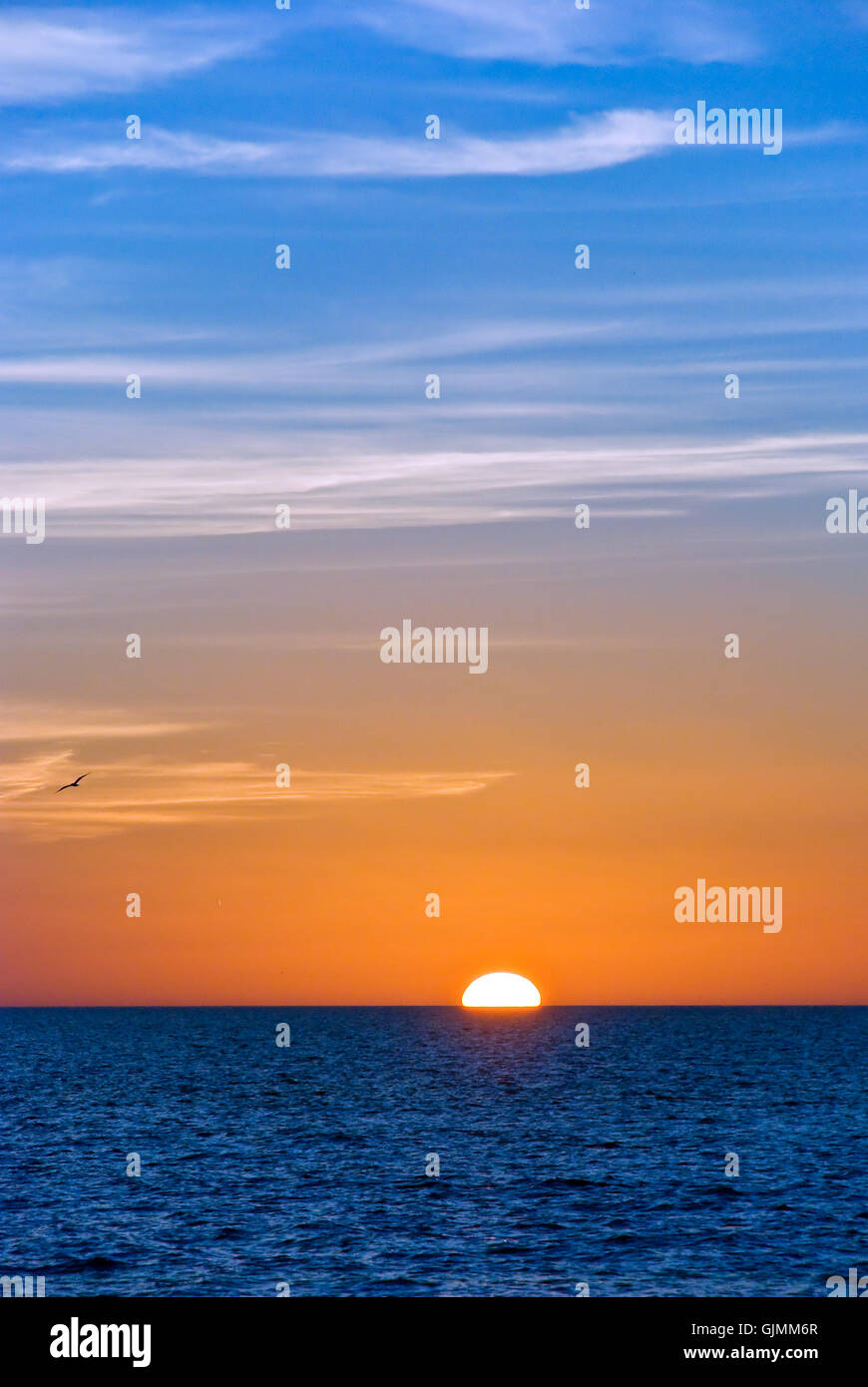 Naples florida beach at sunset hi-res stock photography and images - Alamy