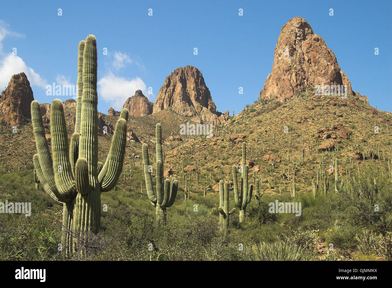 desert wasteland wild Stock Photo - Alamy
