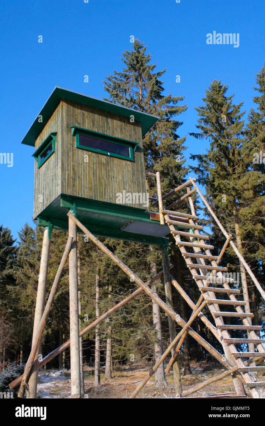 Kind of hunting hi-res stock photography and images - Alamy