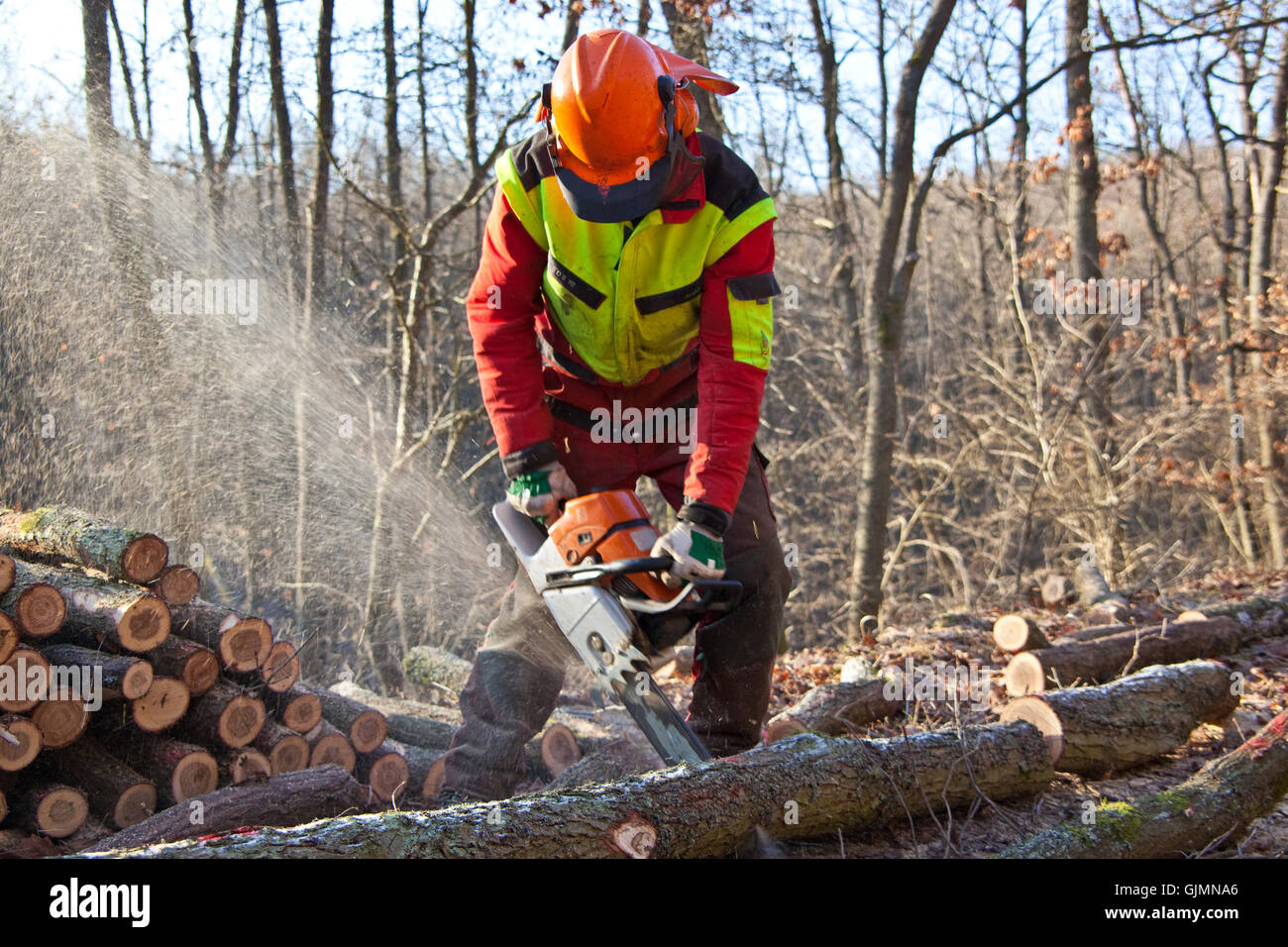 Baumfaller hi-res stock photography and images - Alamy